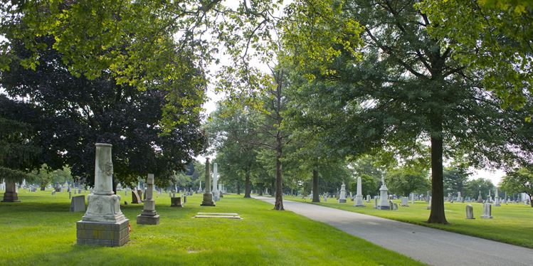 Cathedral Cemetery | cemetery.com